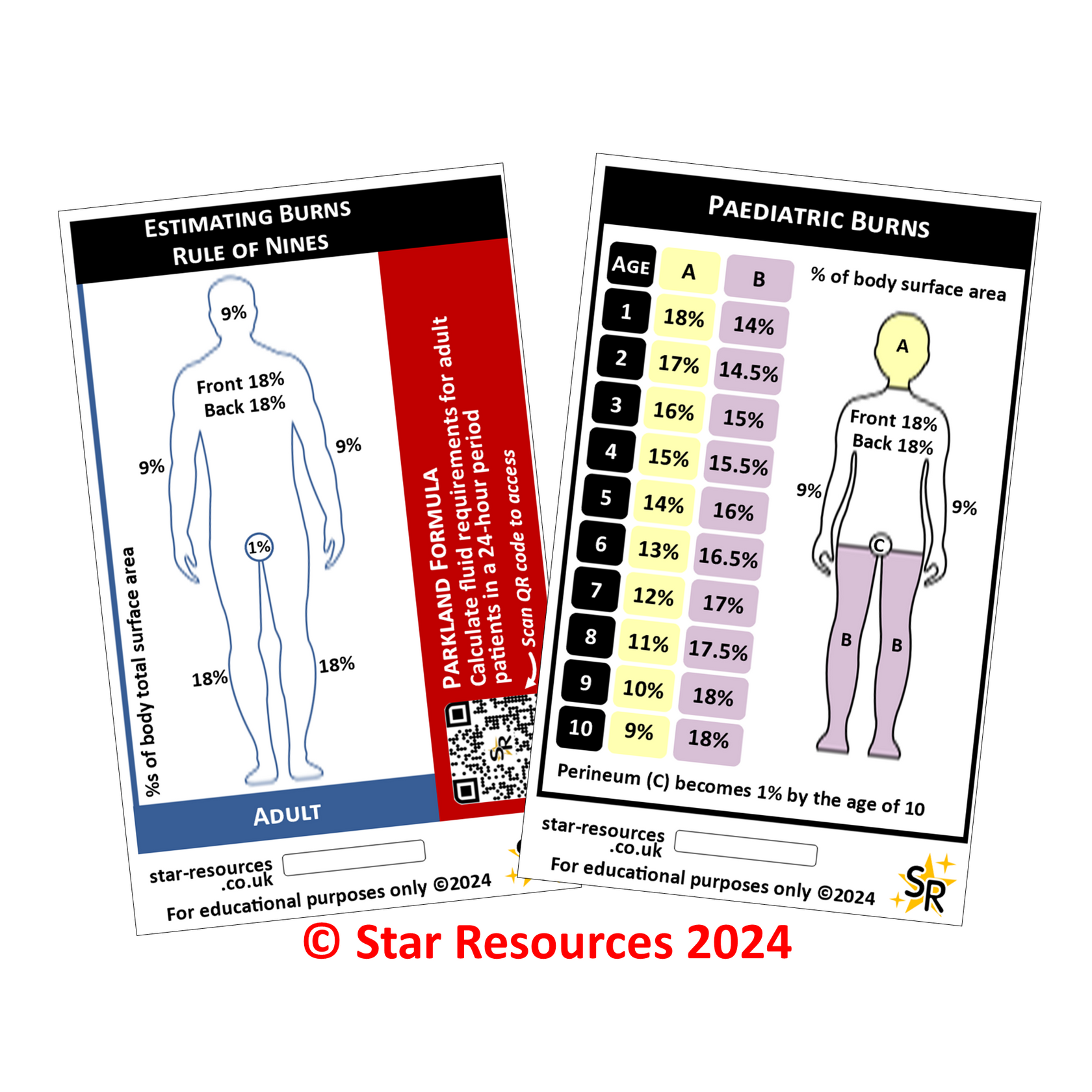 Set 1 - Patient Assessment ID Badge Cards Student Nurses, Paramedics ...