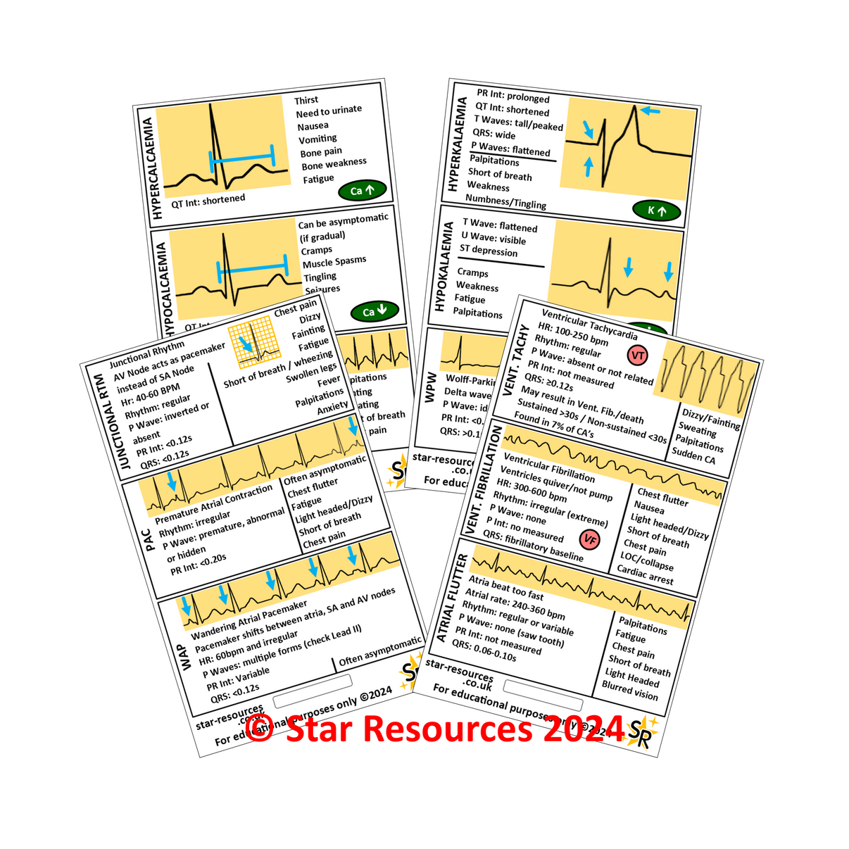 ECG Reference ID Badge Cards - Student Paramedics Ambulance – StarResources