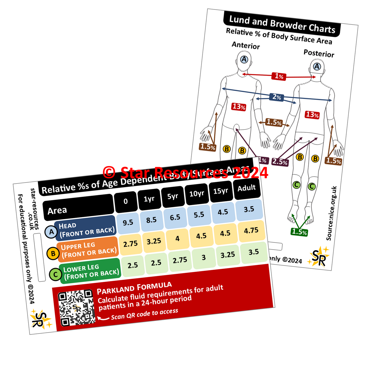 Set 1 - Patient Assessment ID Badge Cards Student Nurses, Paramedics ...
