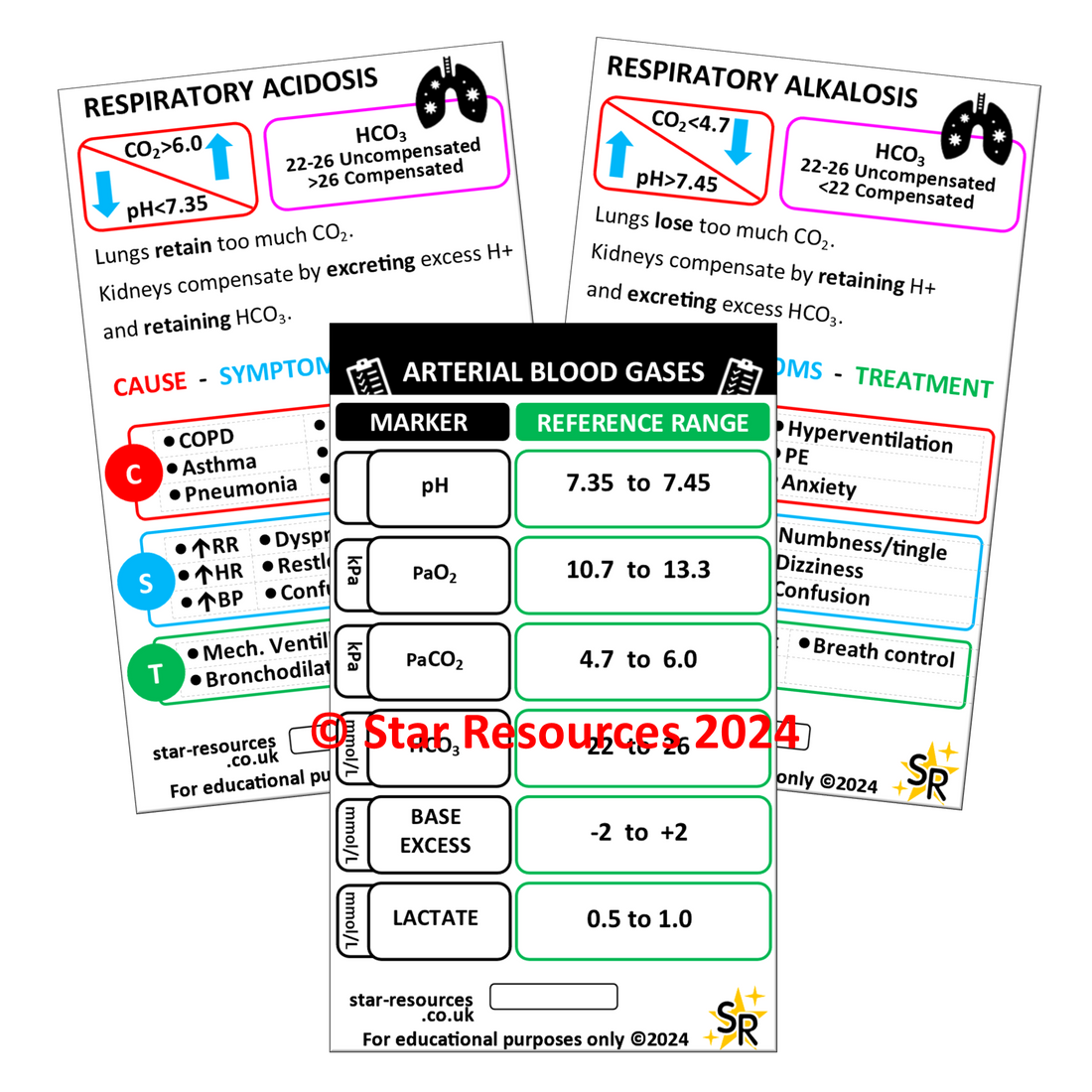 Arterial Blood Gas ID Badge Card Set - Paramedic Flashcard for Student ...